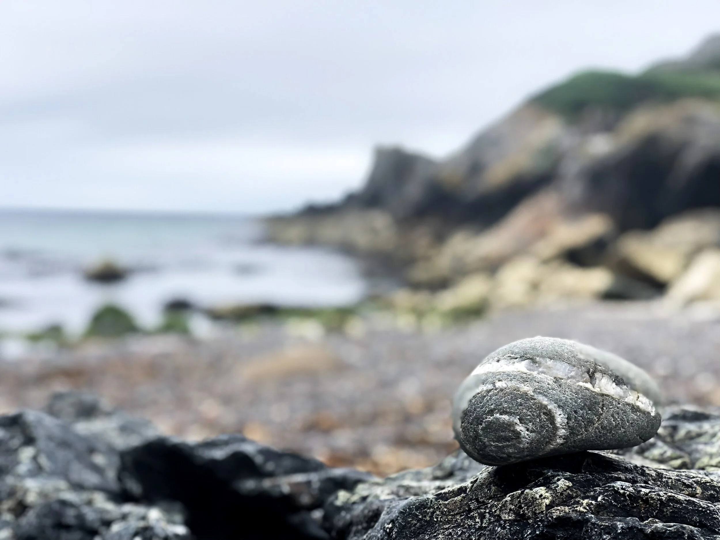 Waymarkers History | The Journey of Sacred Pilgrimage & Rewilding ...