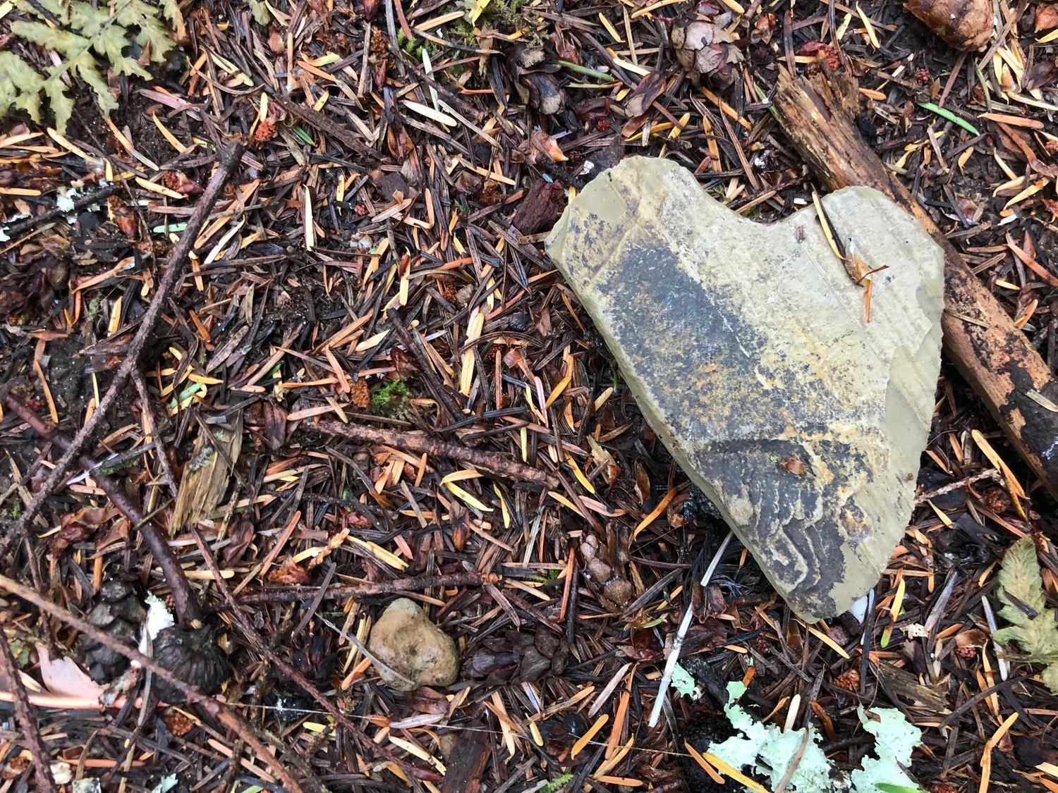 Rewilding Rites-of-Passage Retreat — Waymarkers