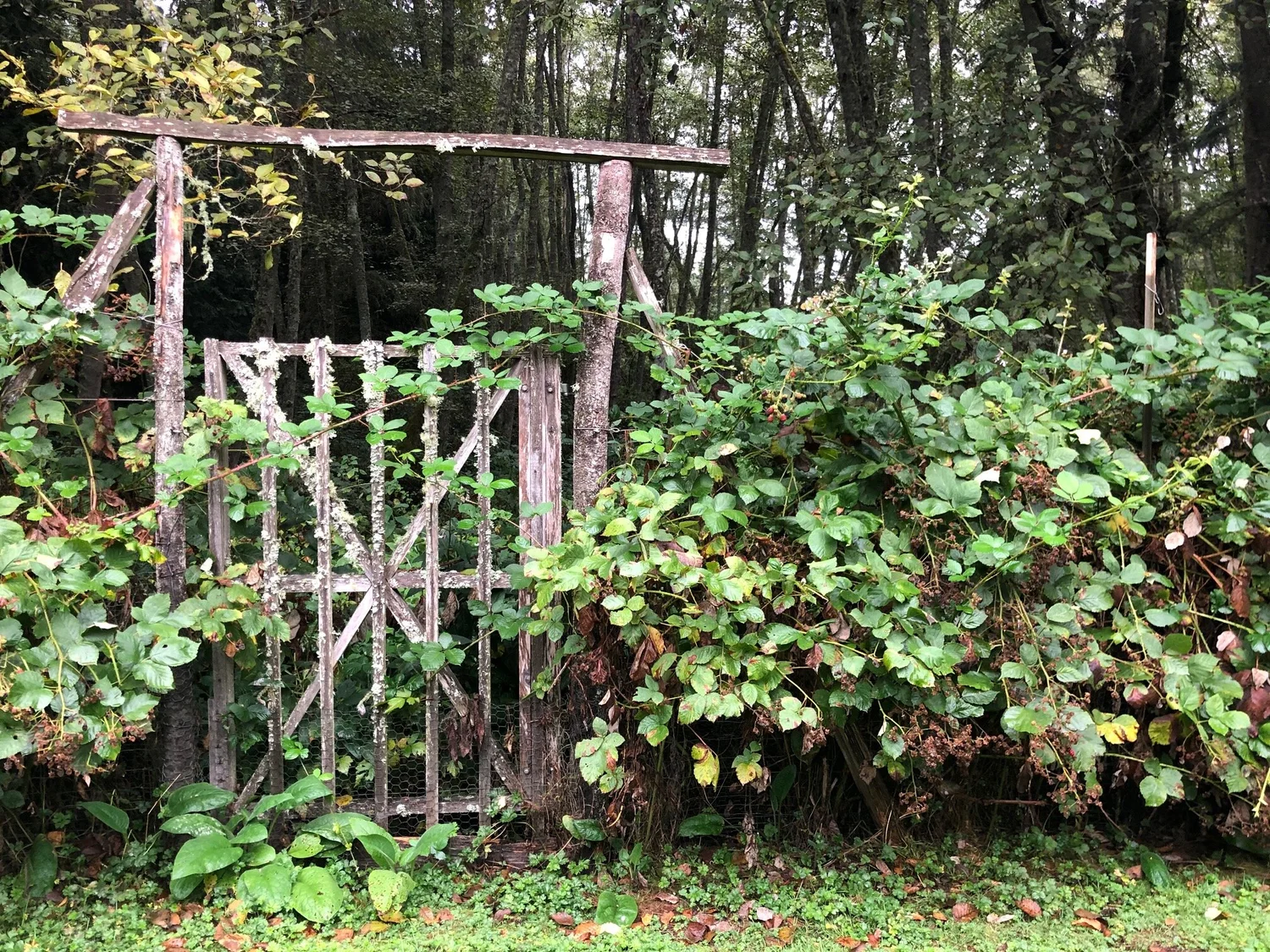 Rewilding Rites-of-Passage Retreat — Waymarkers