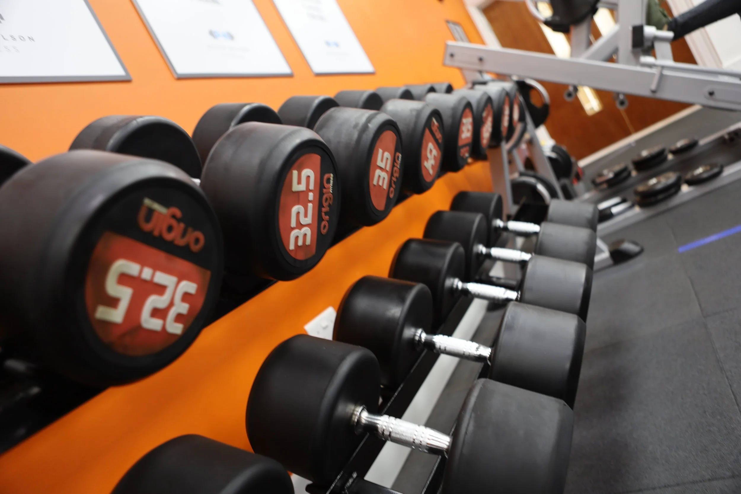 Peter Nelson Fitness
