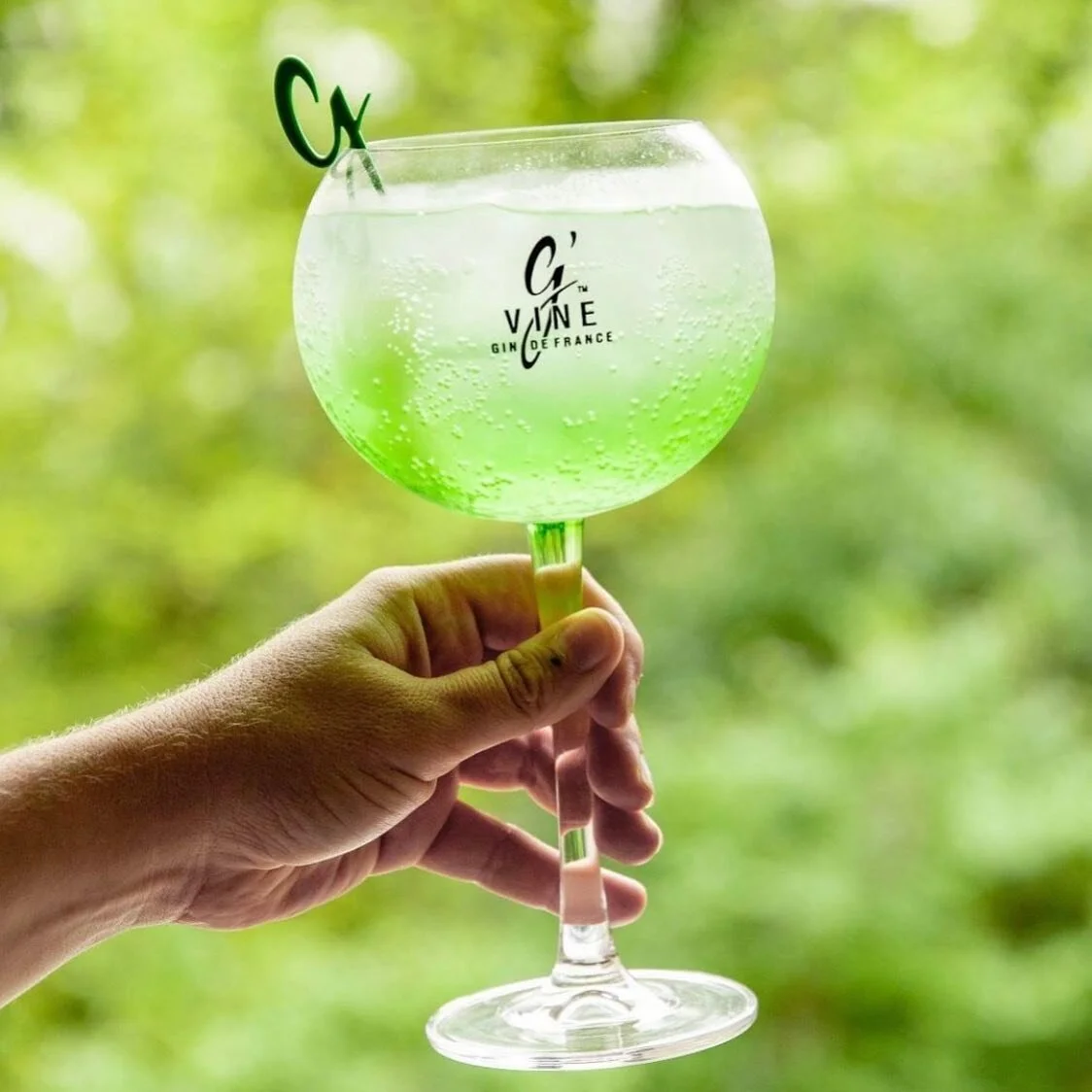 WELCOME — Paragon Brands