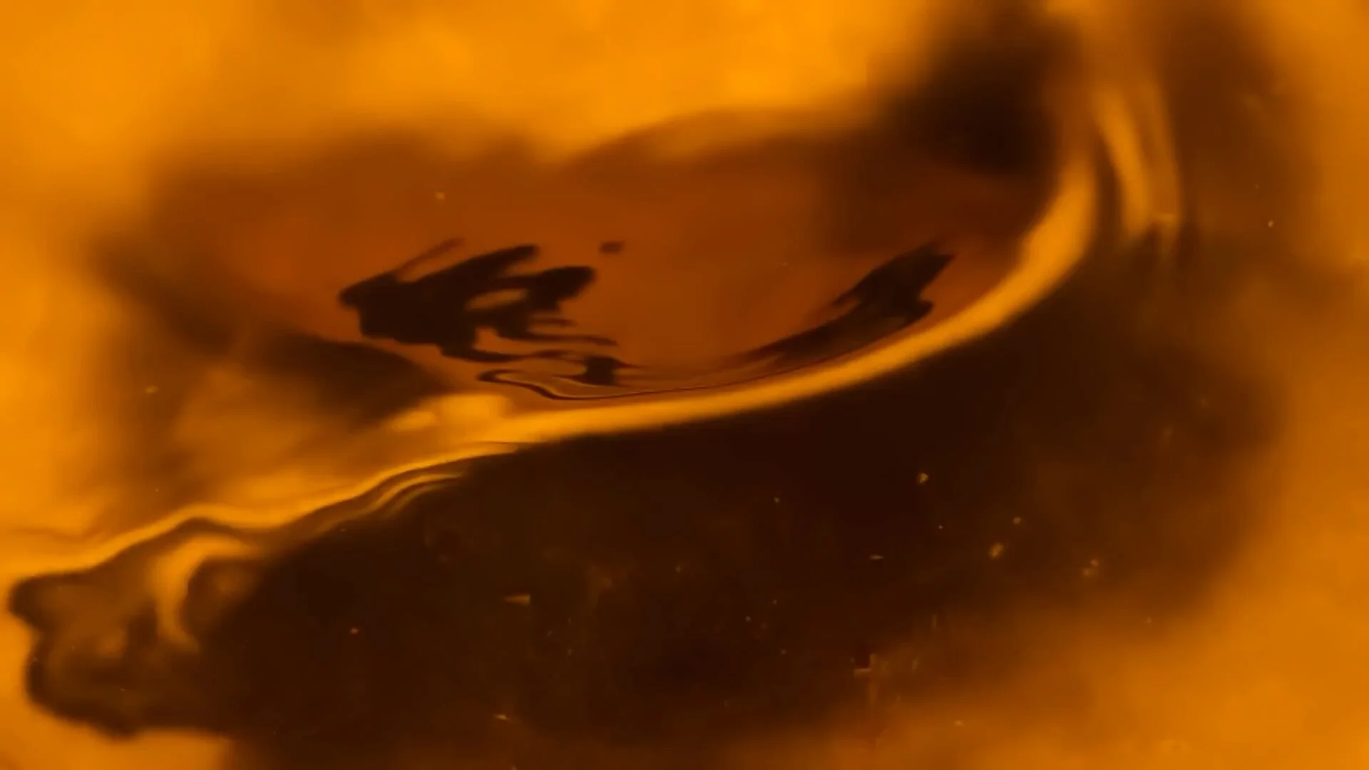 WELCOME — Paragon Brands