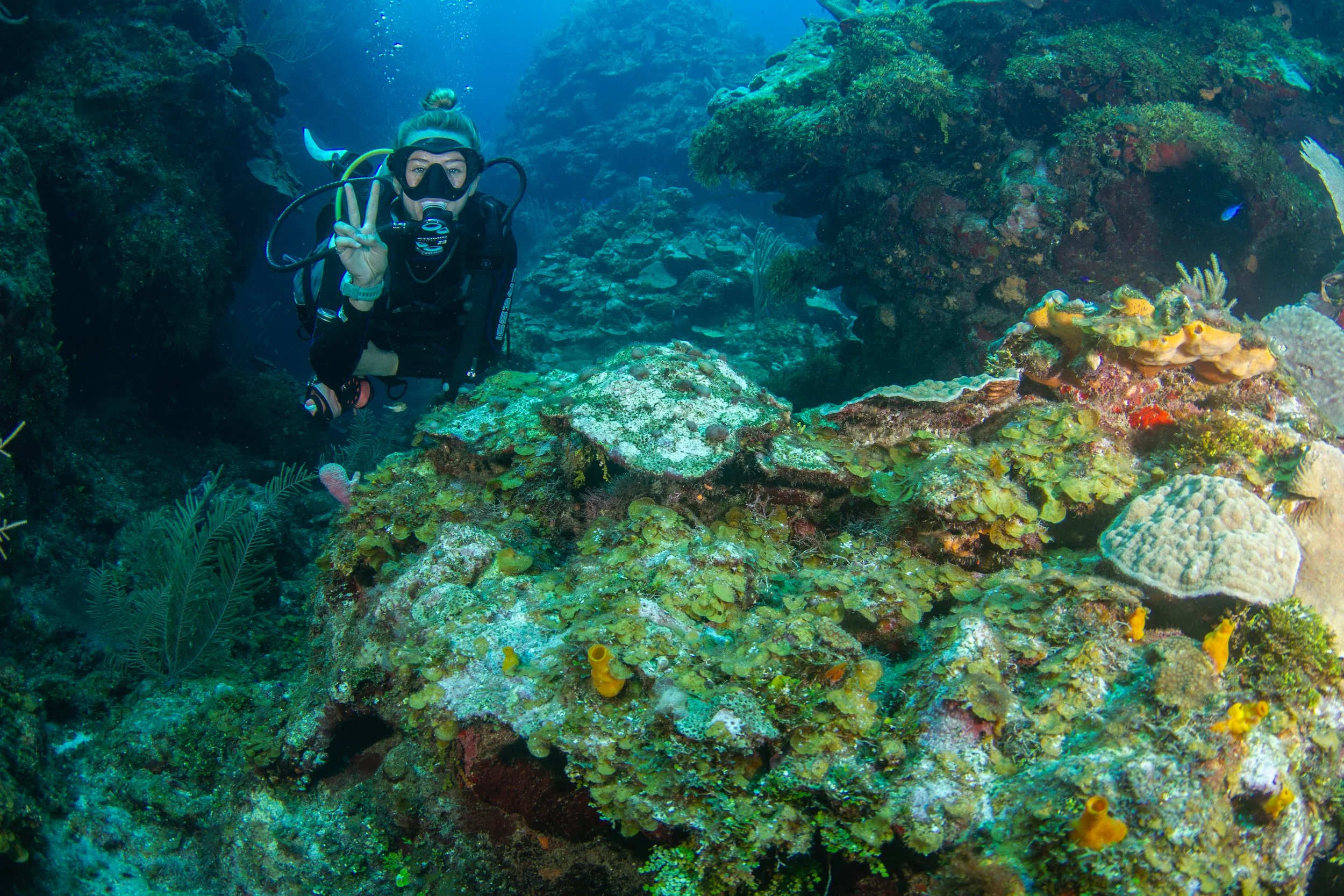 PADI Divemaster Training | Roatan Divers
