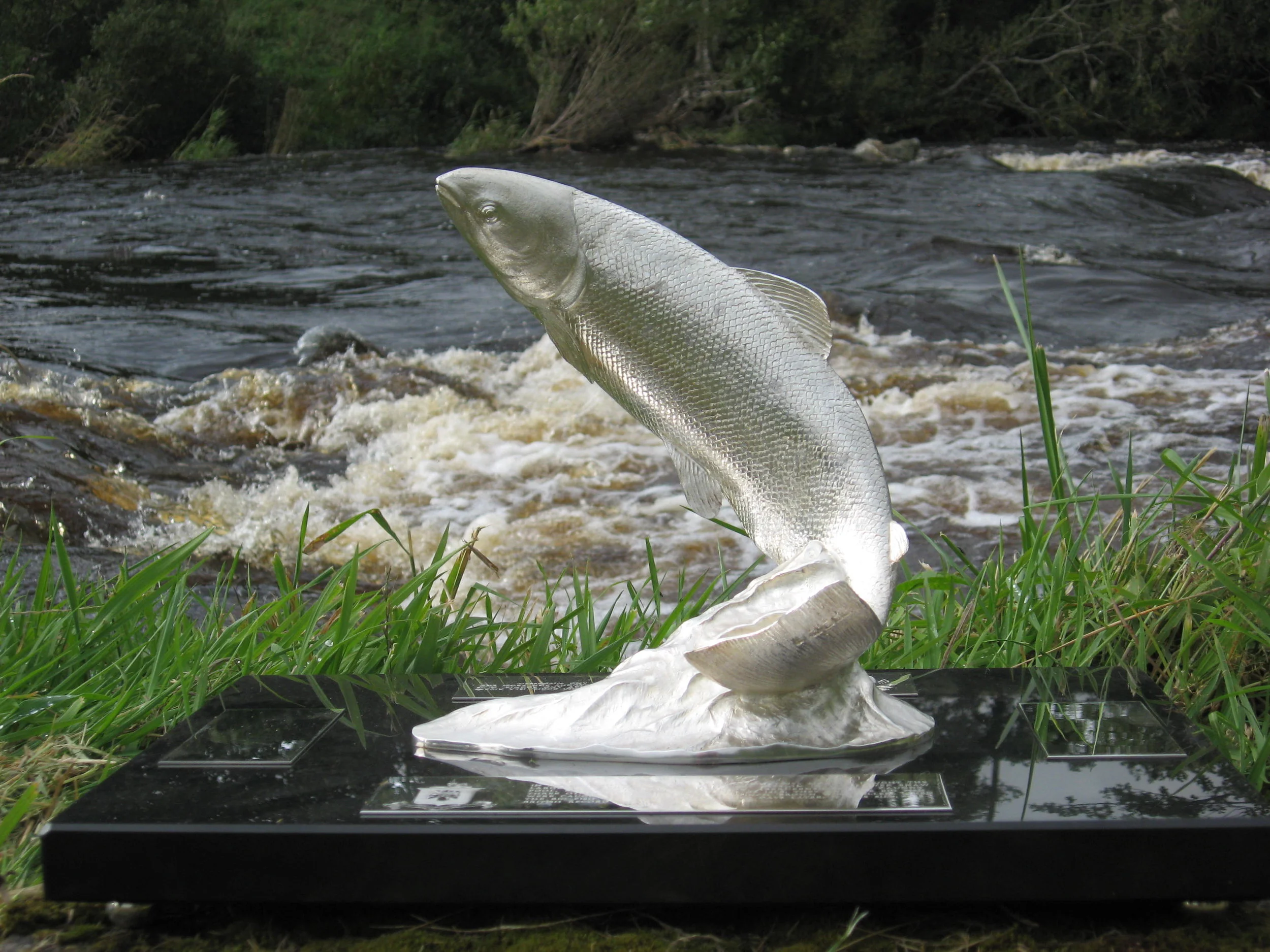 Avochie Fishings — Avochie