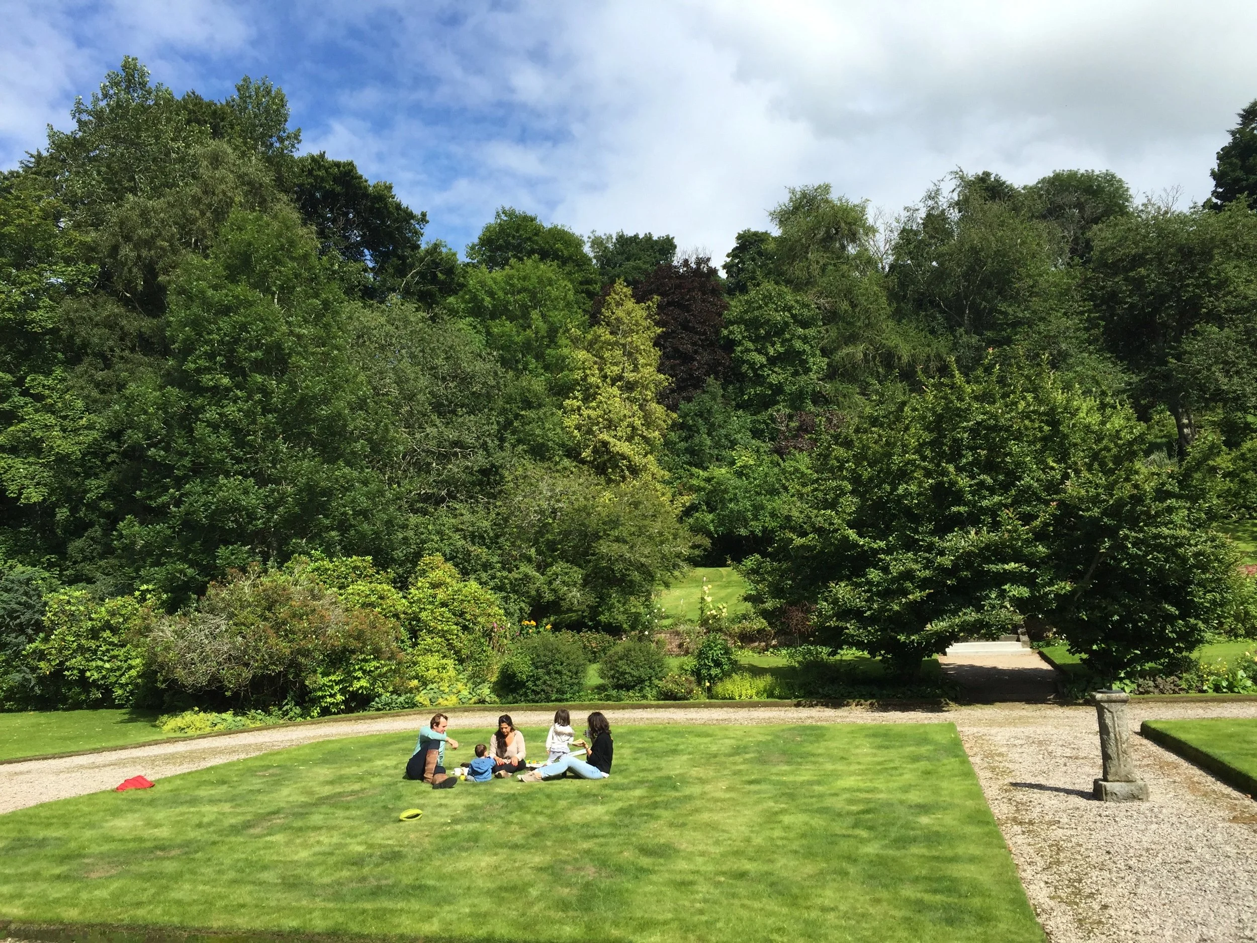 Activities — Avochie