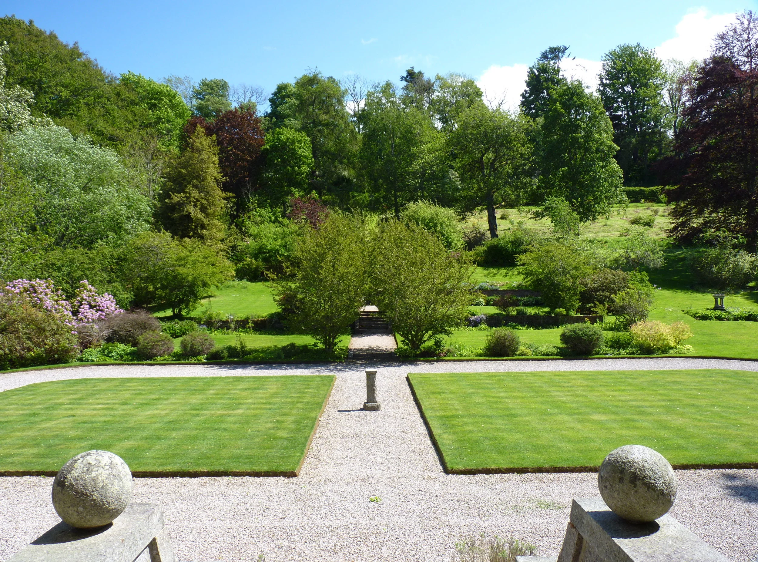 Activities — Avochie