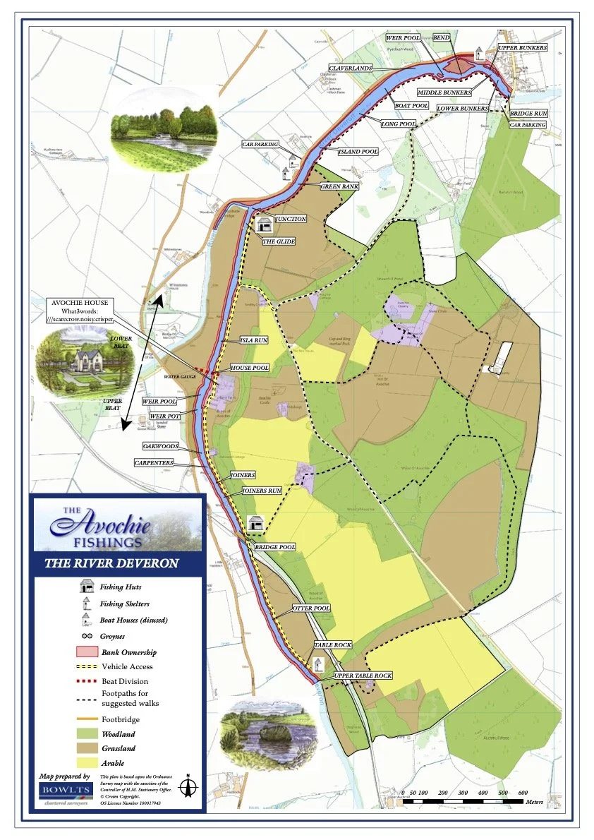 Avochie Fishings — Avochie