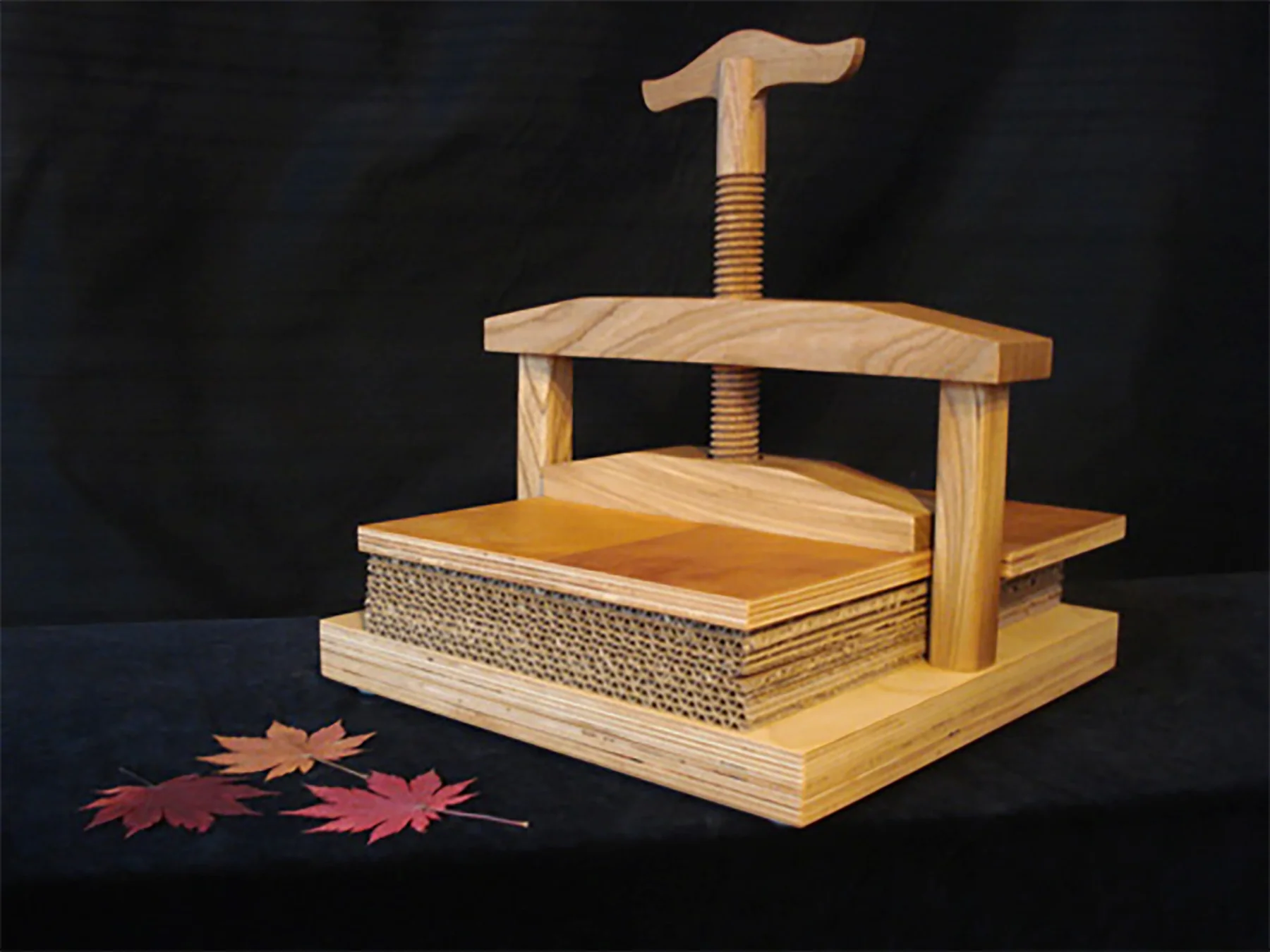 “Herbie” (American elm) — Lynette Breton Design