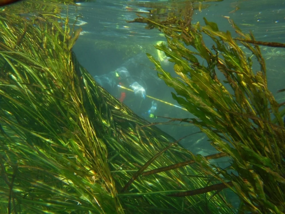 Tournaments — Atlas Environmental