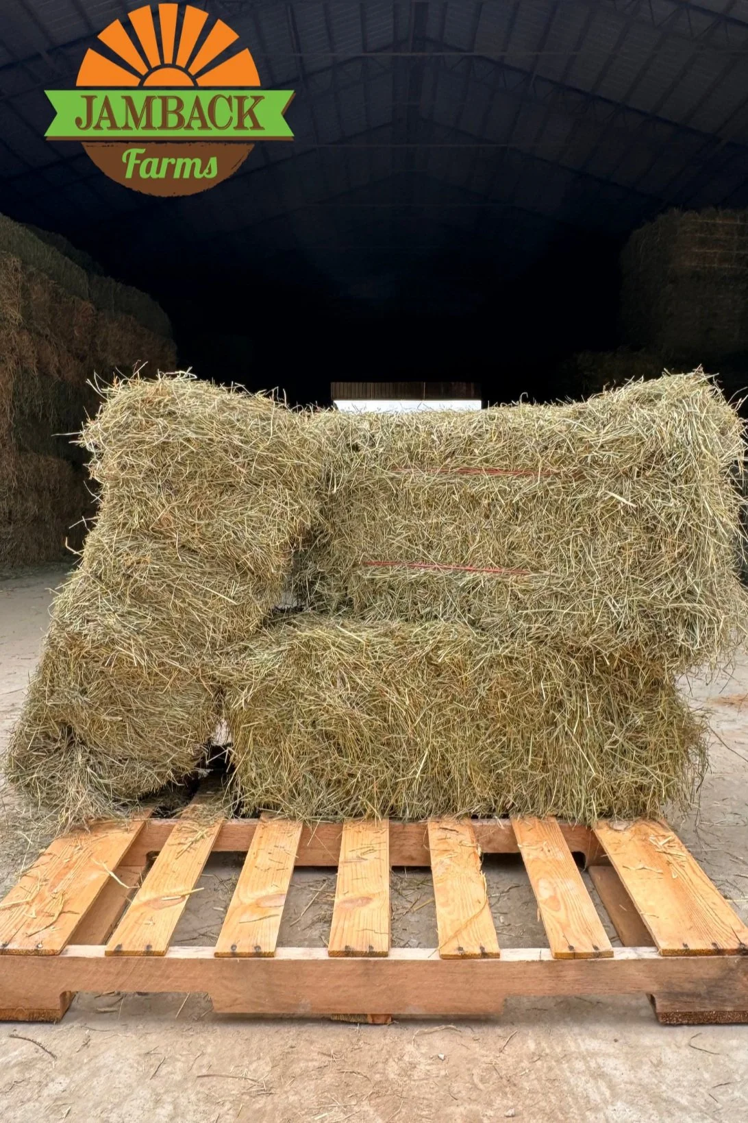 Current Hay and Alfalfa Inventory | Jamback Farms | Jamback Farms