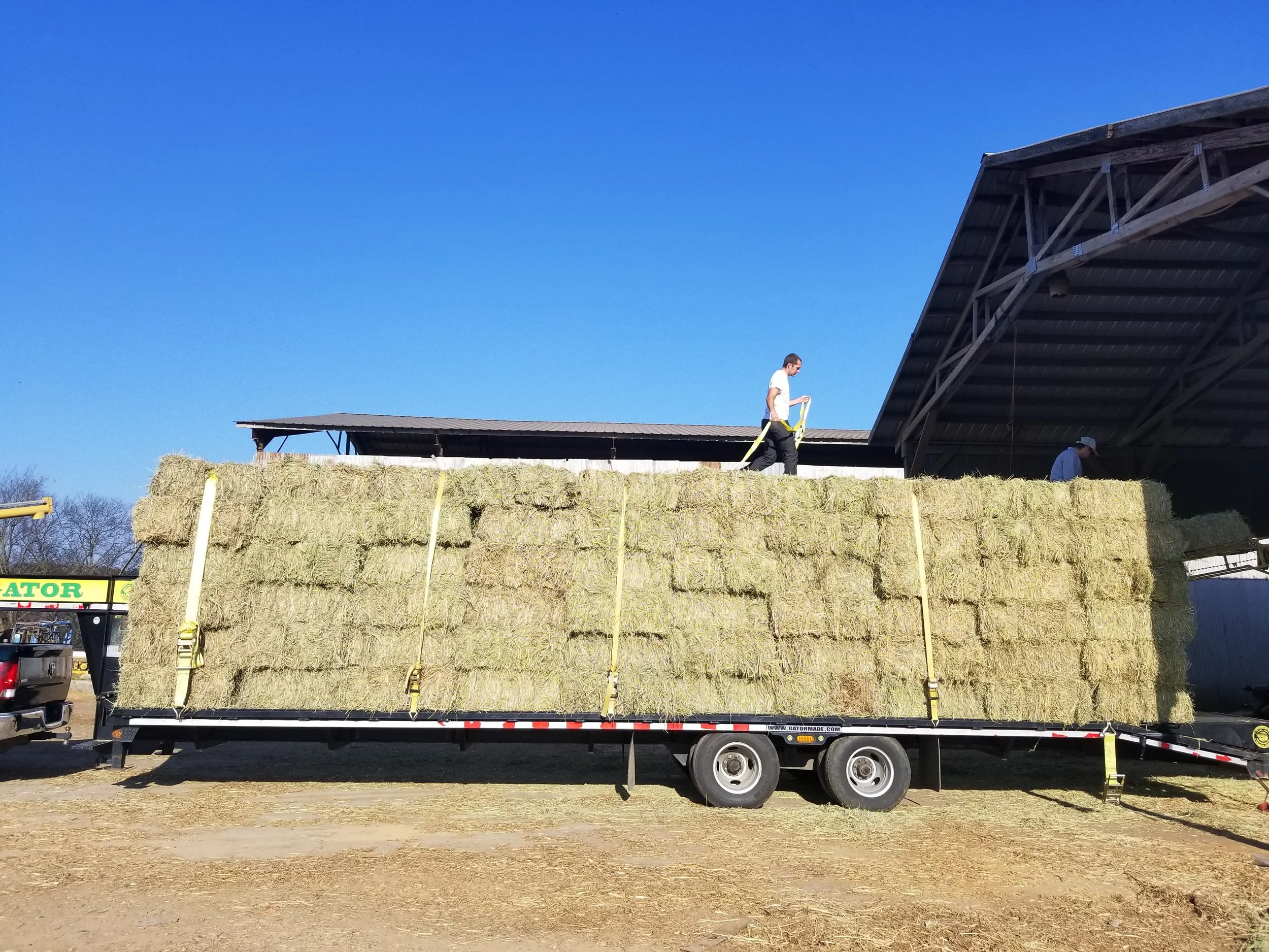 Standard Delivery | Jamback Farms