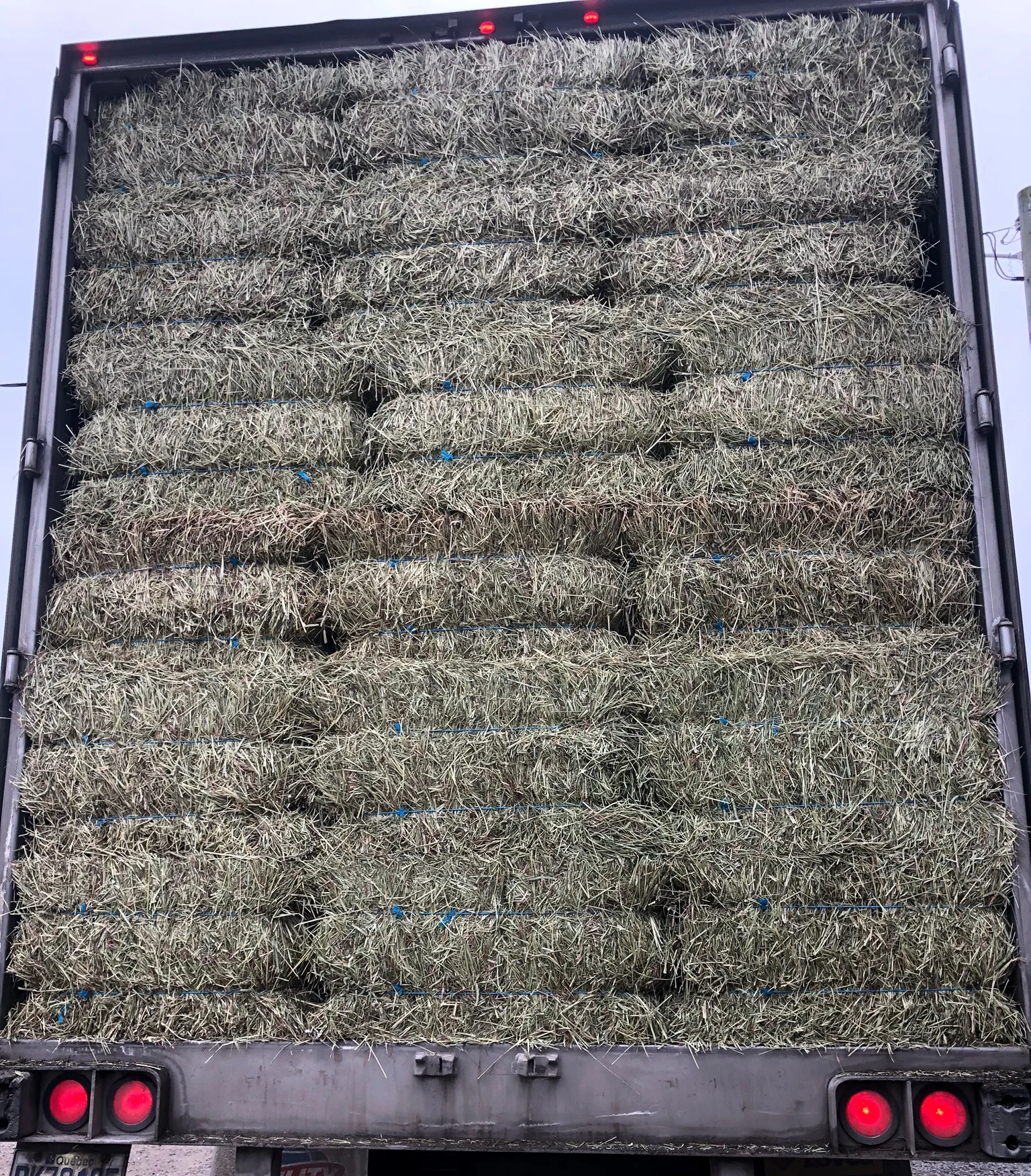 Timothy Hay | Jamback Farms