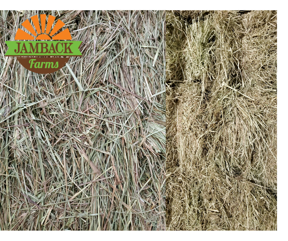 Current Hay and Alfalfa Inventory | Jamback Farms | Jamback Farms
