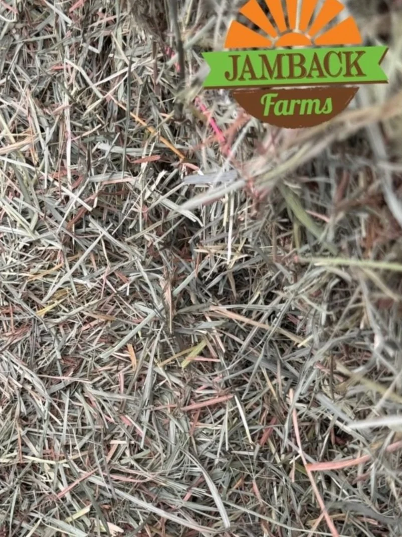 Current Hay and Alfalfa Inventory | Jamback Farms | Jamback Farms