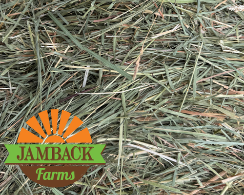 Current Hay and Alfalfa Inventory | Jamback Farms | Jamback Farms