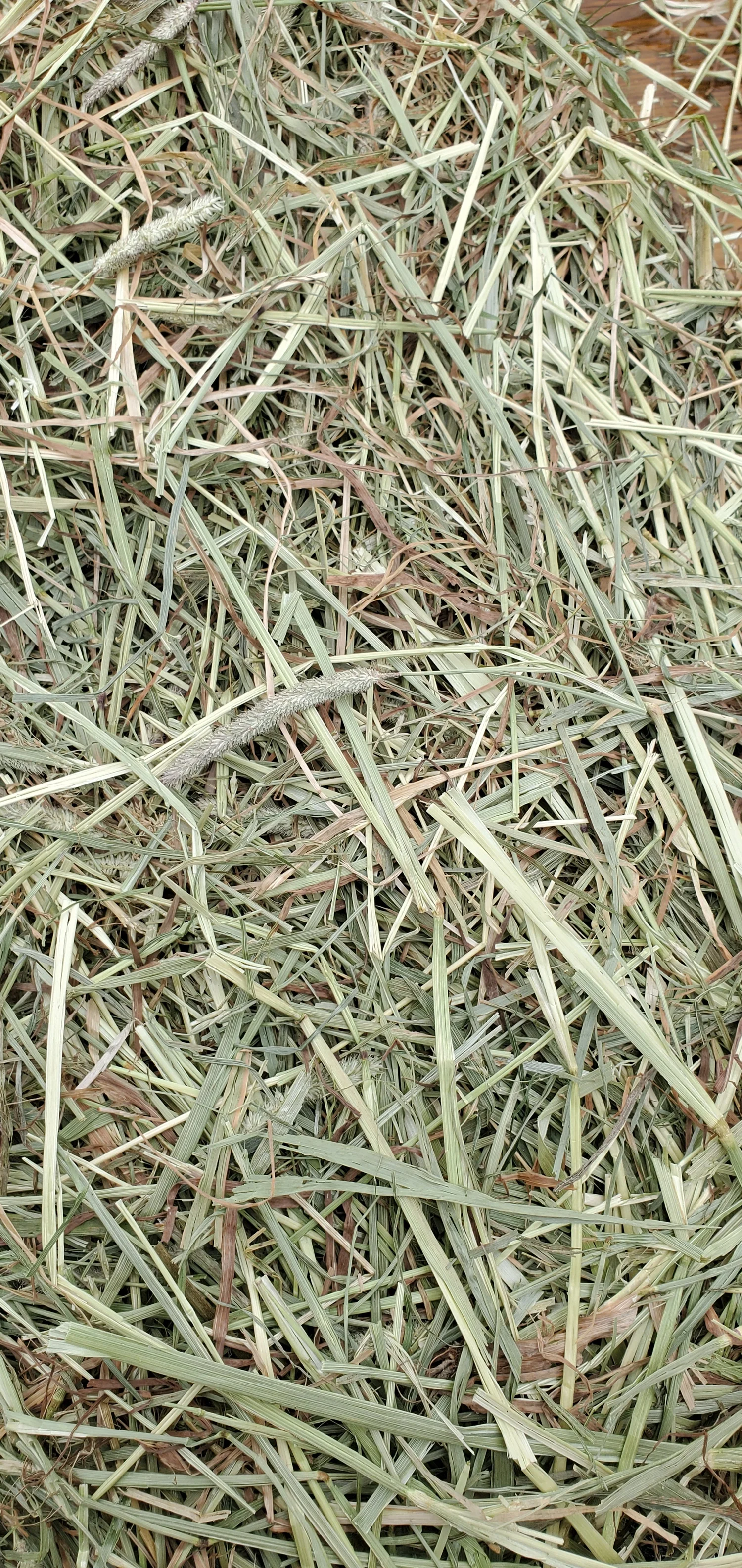 Current Hay and Alfalfa Inventory | Jamback Farms | Jamback Farms