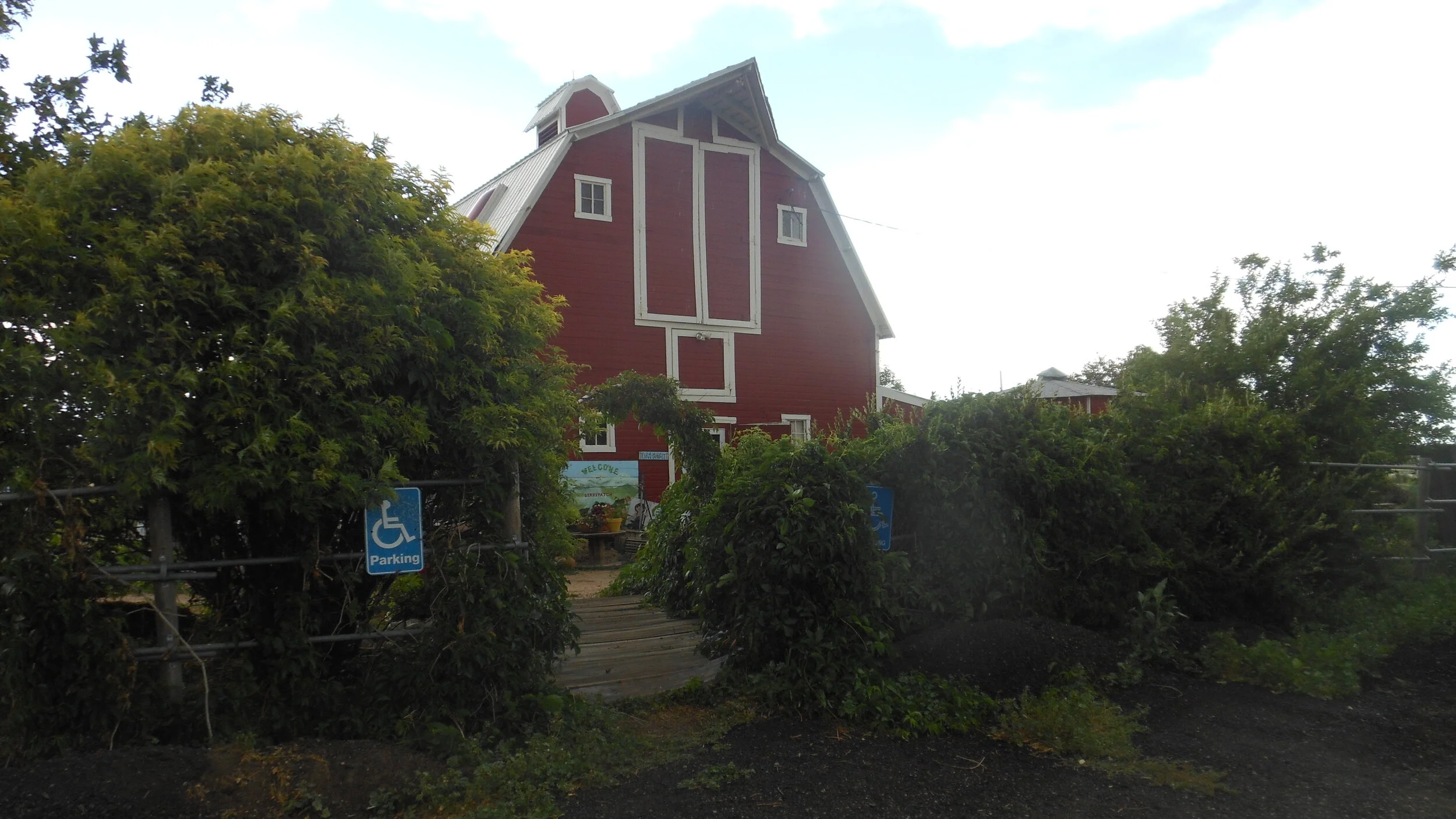 Red Barn Store (Copy) — Berry Patch Farms
