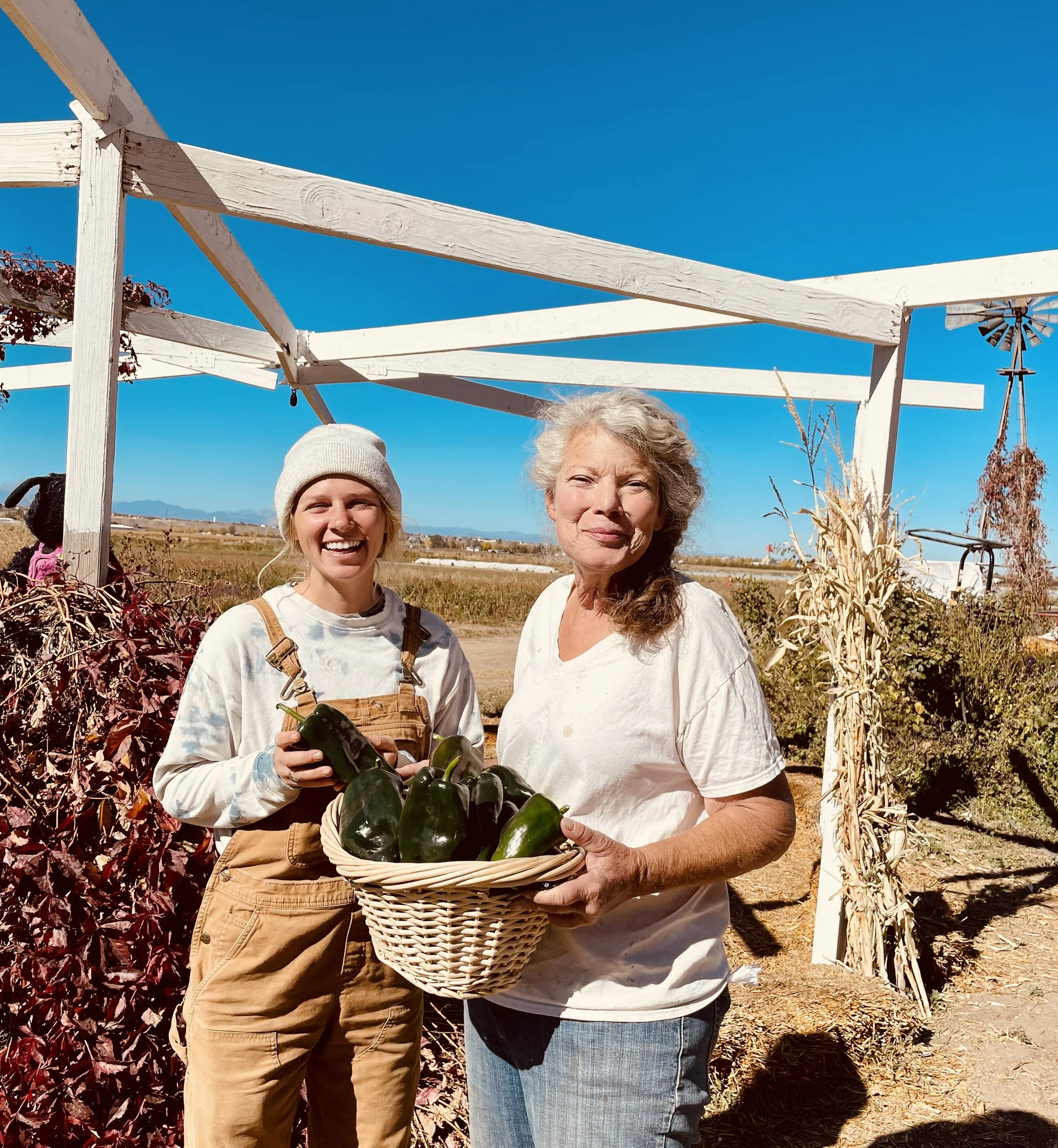 SUMMER CSA — Berry Patch Farms