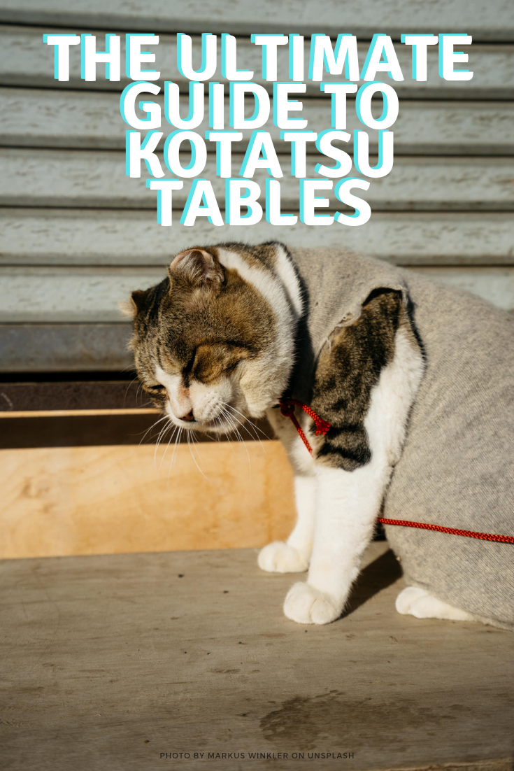 The Ultimate Guide to Kotatsu Tables — ANIME Impulse