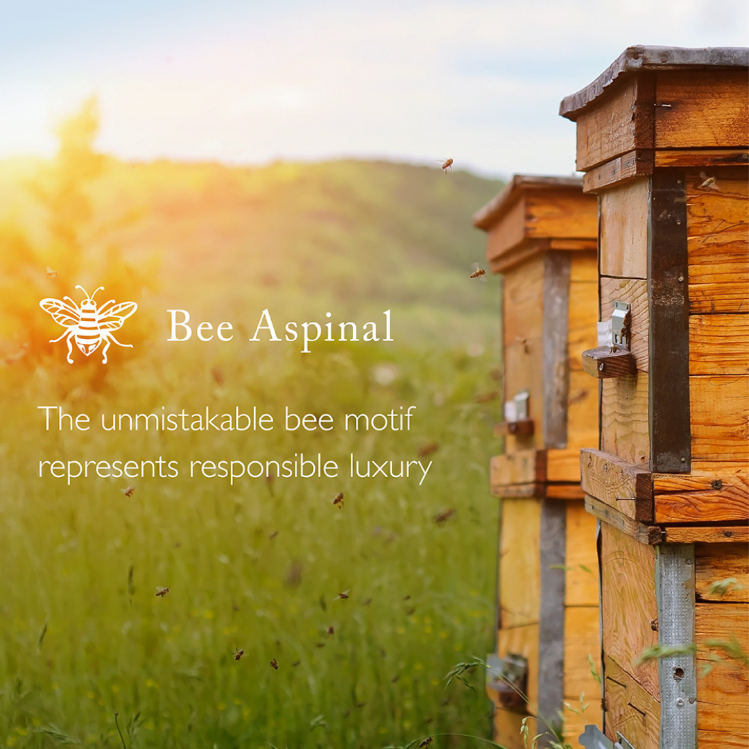 Sustainable Eyewear by Aspinal of London — Gilbert Opticians, Independent Worksop Opticians