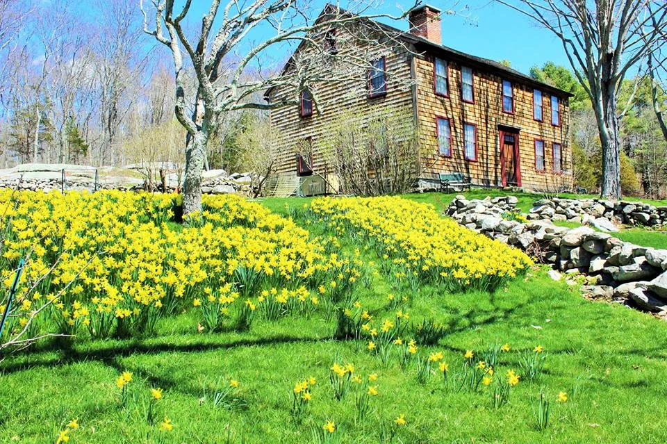 Home — Denison Homestead Campus