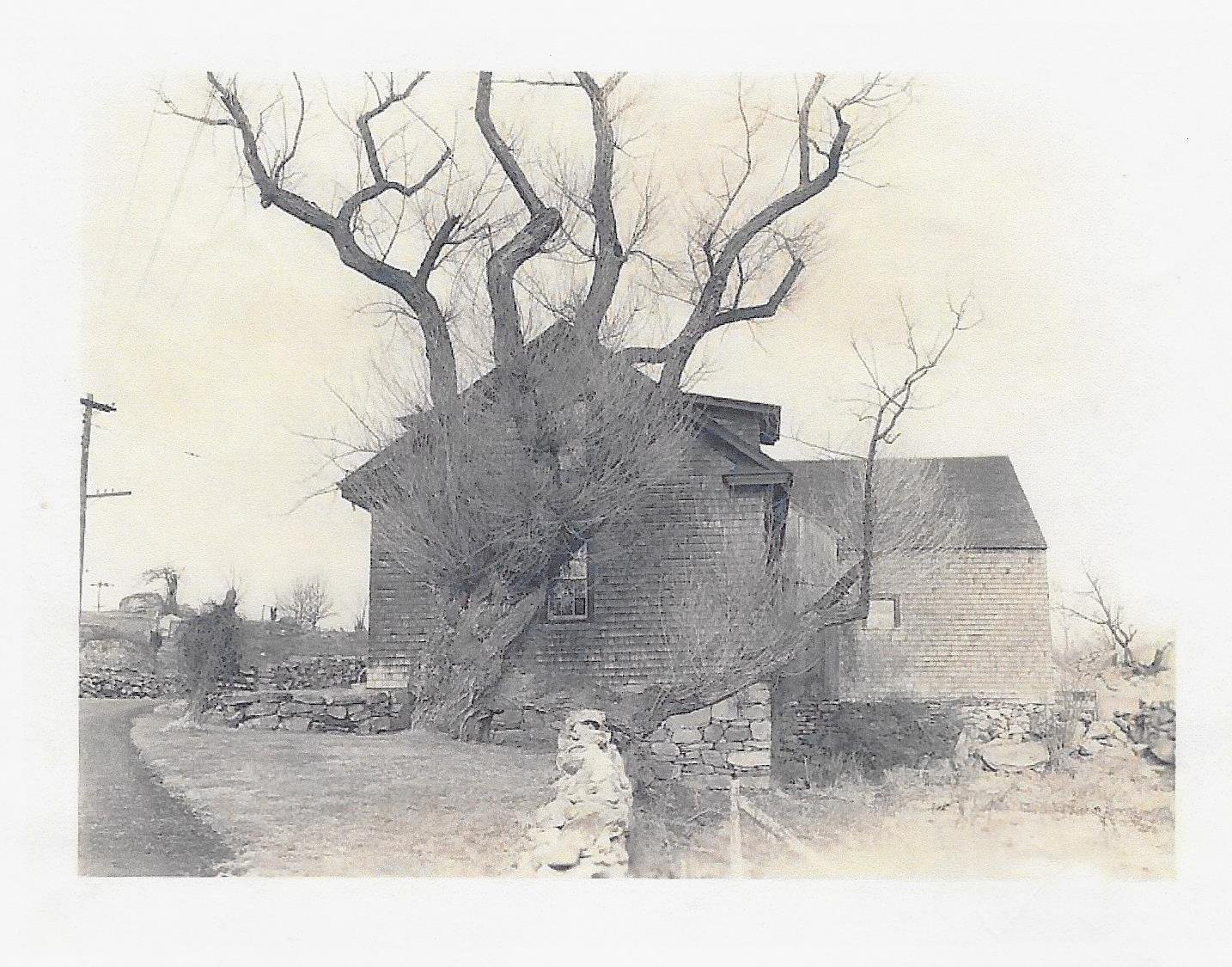 RESTORATION PROJECTS — Denison Homestead Campus