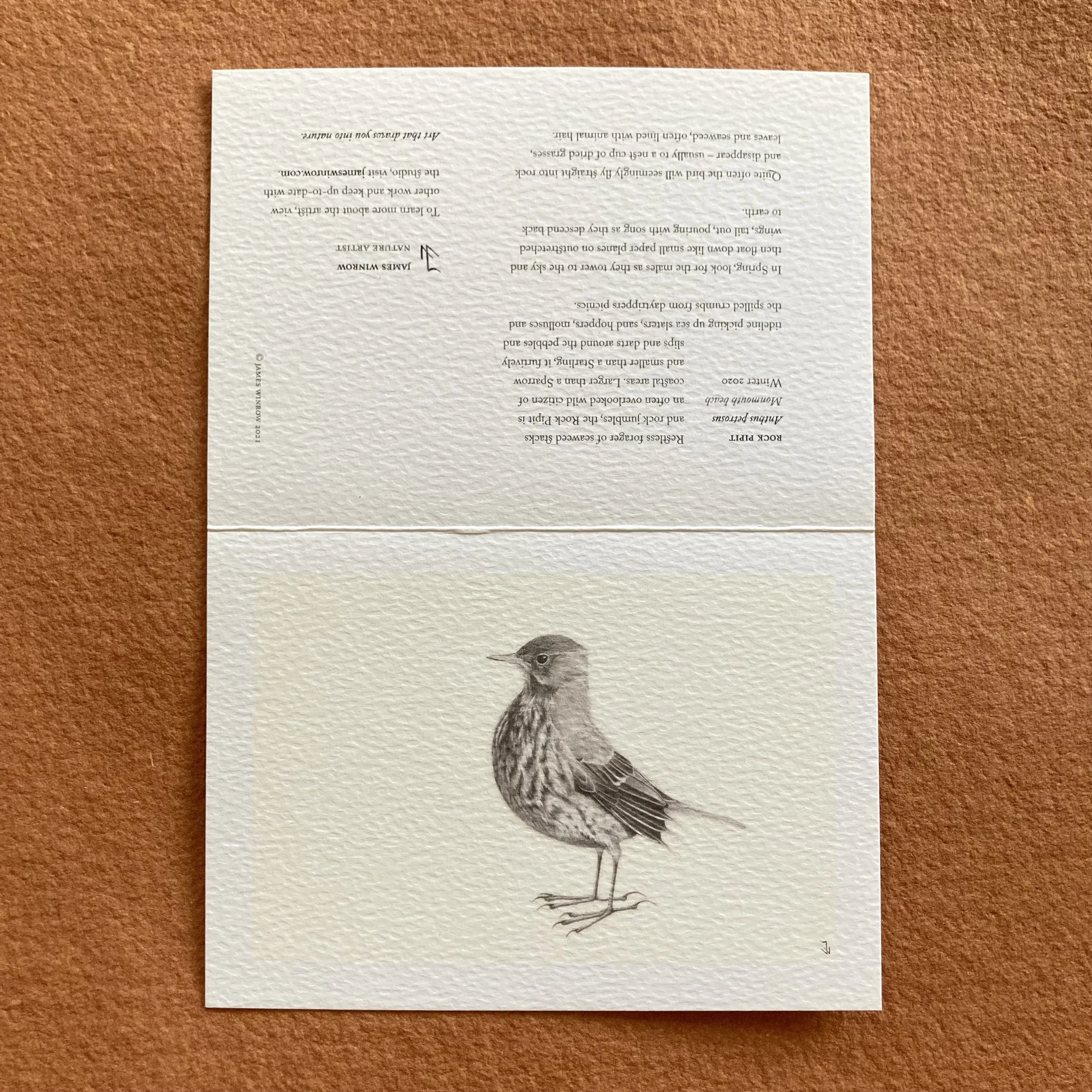 Notecards by nature artist James Winrow — Bari Zaki Studio