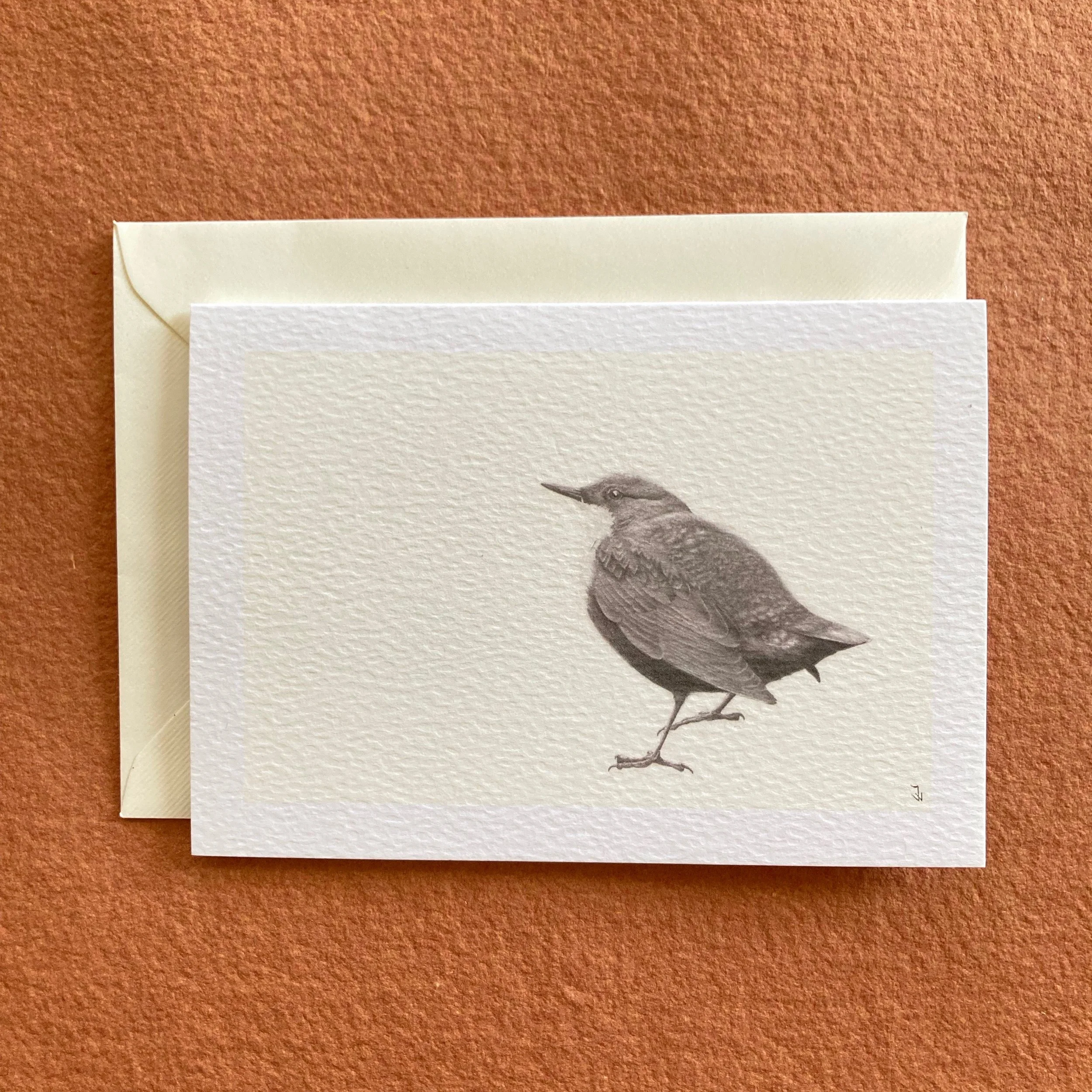 Notecards by nature artist James Winrow — Bari Zaki Studio