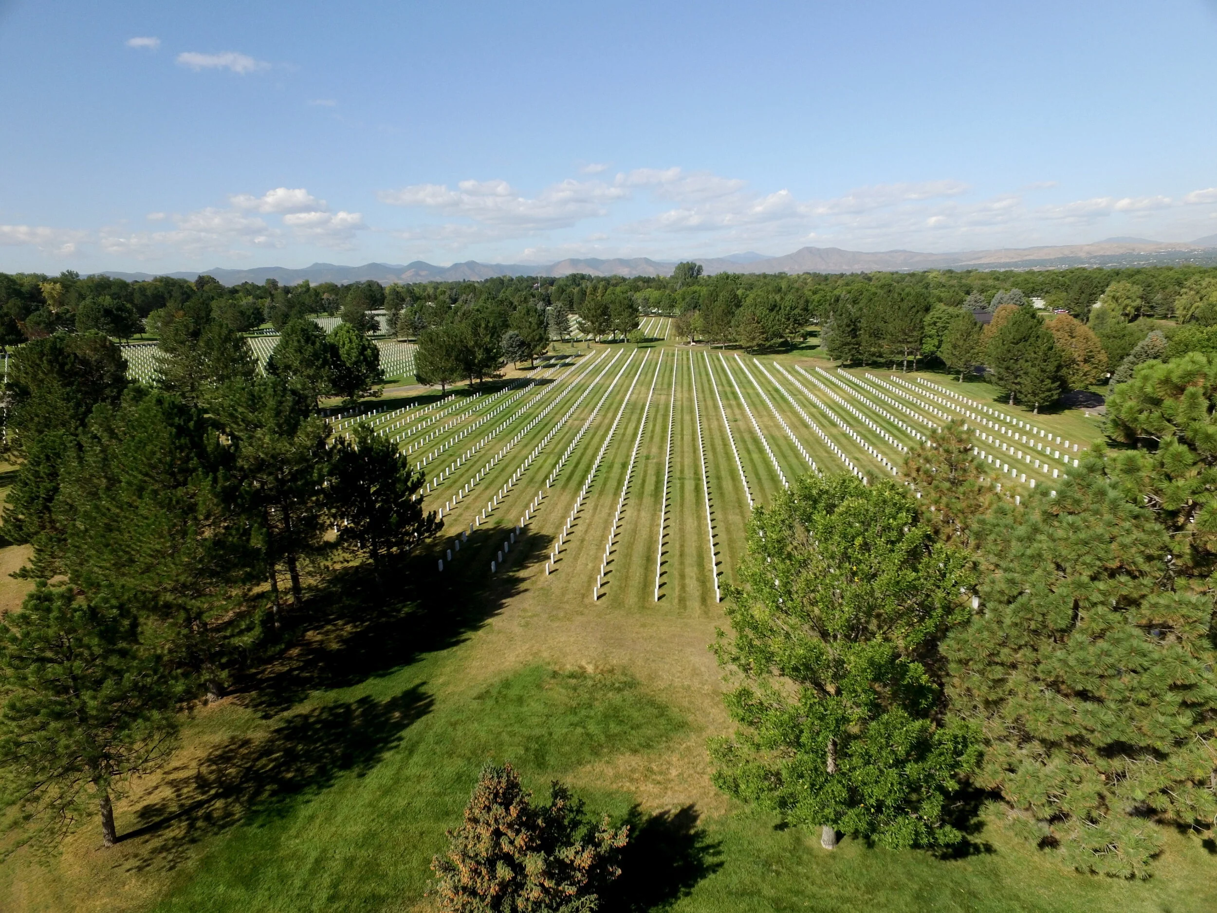 Services — Arbor Drone