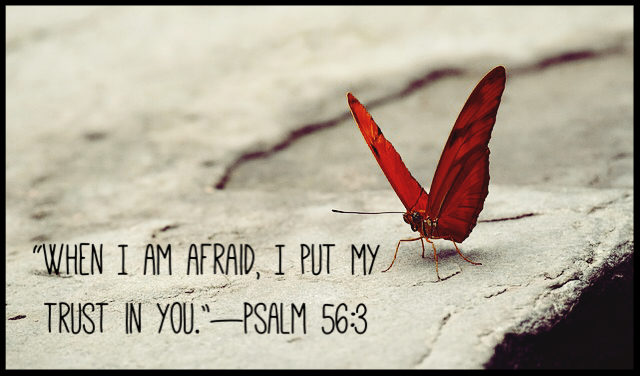 Trust Over Worry — Knit Pray Share