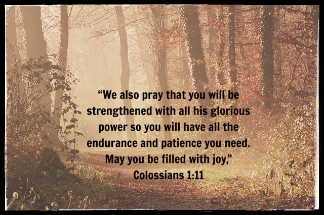 Perseverance — Knit Pray Share