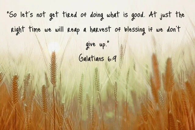 Remember God's Faithfulness — Knit Pray Share