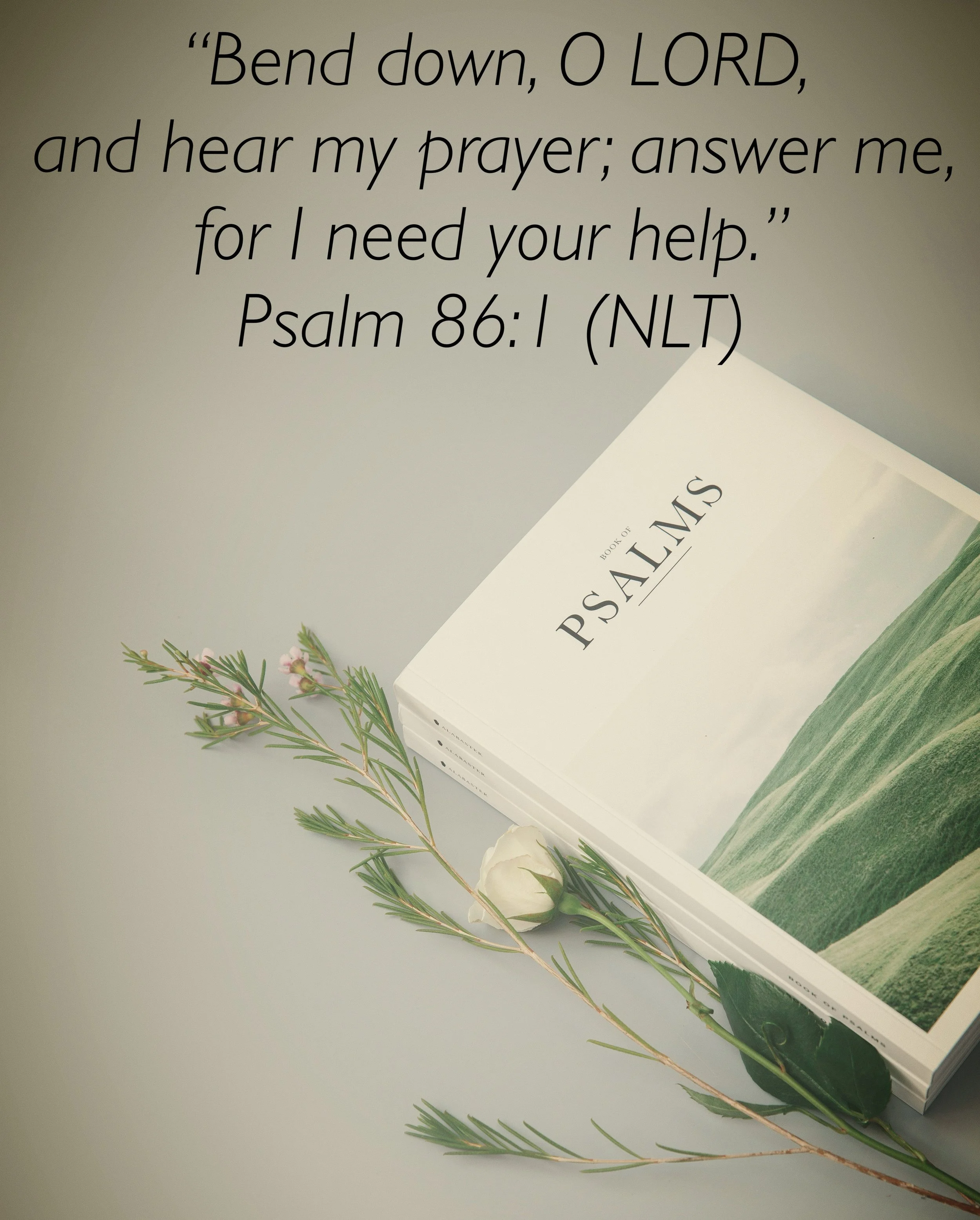Psalm Bible