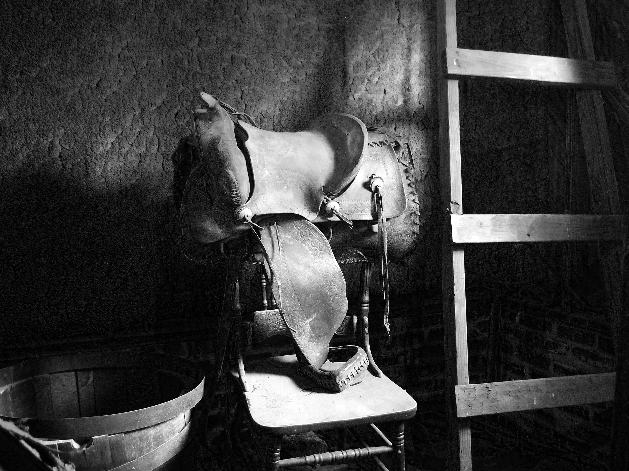 PAA Members' Show - 2023 (Copy) — The Paseo Arts District