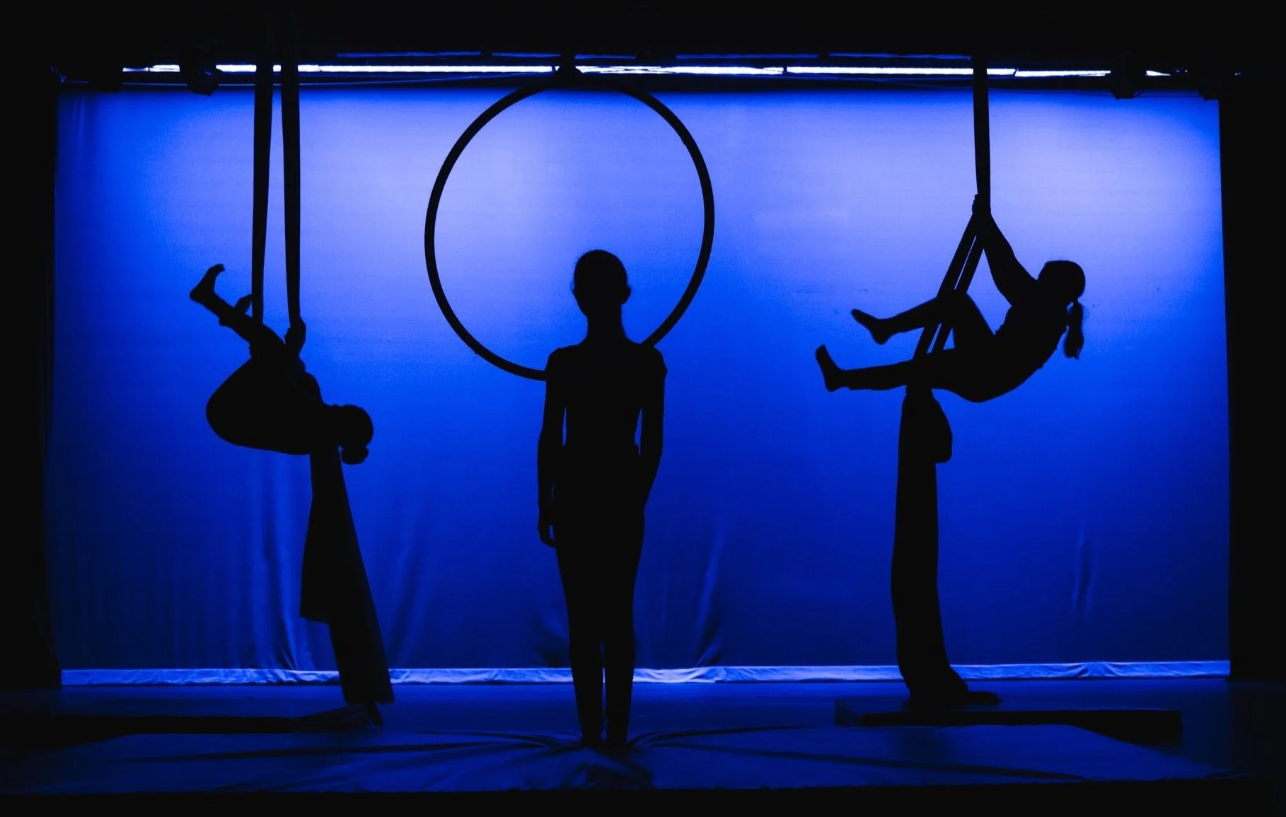 Bridge for Dance | CLASSES & PROGRAMS