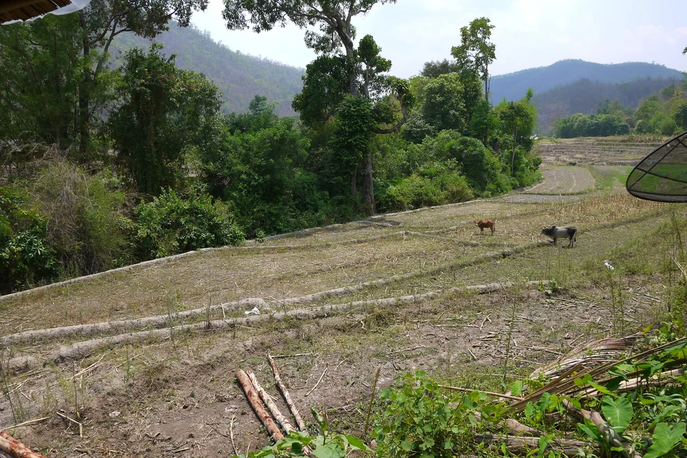 Karen Textiles in Northern Thailand — The Textile Atlas