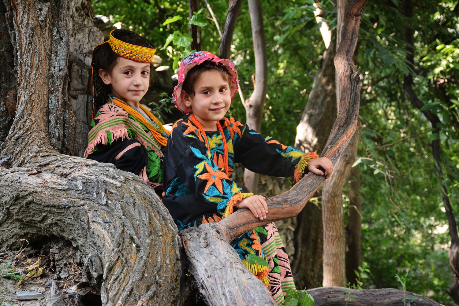Kalash Textile, Pakistan-Afghanistan Border — The Textile Atlas