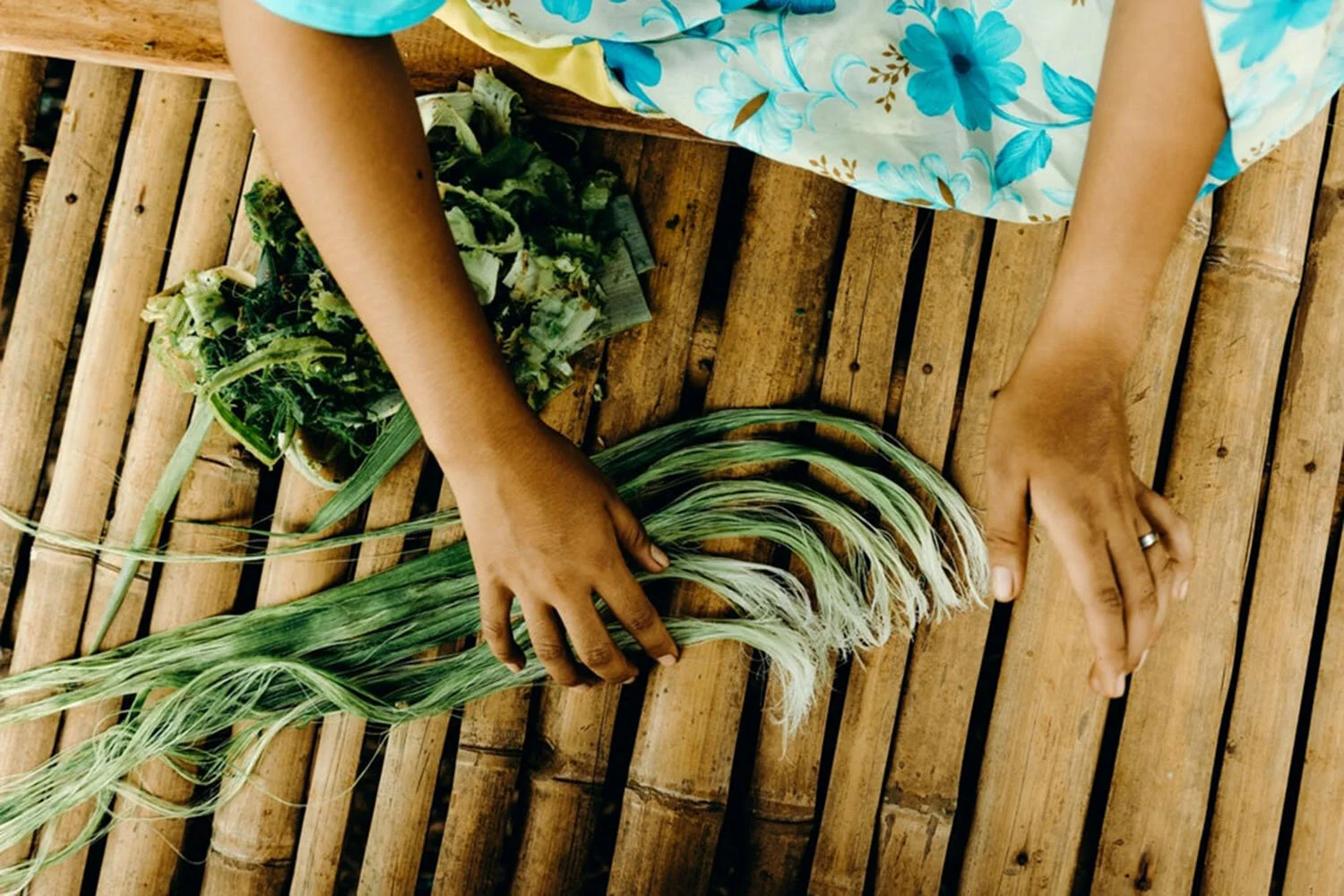 Piña (Pineapple) Cloth, Philippines — The Textile Atlas