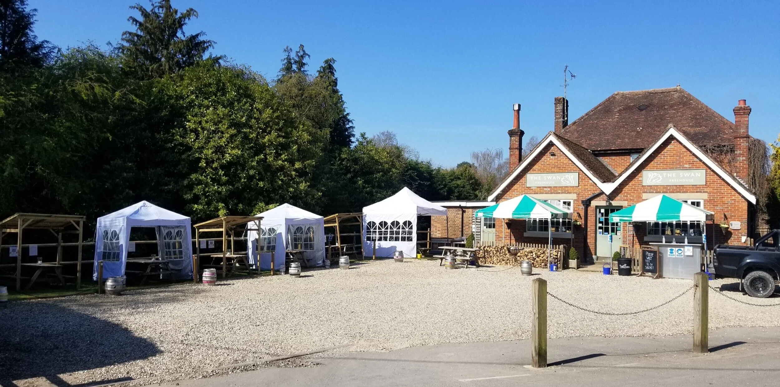The Swan