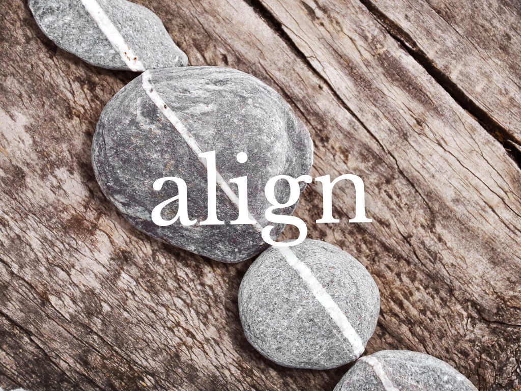 1:1 Integration Offerings — Amy Leiter Human Design and ...