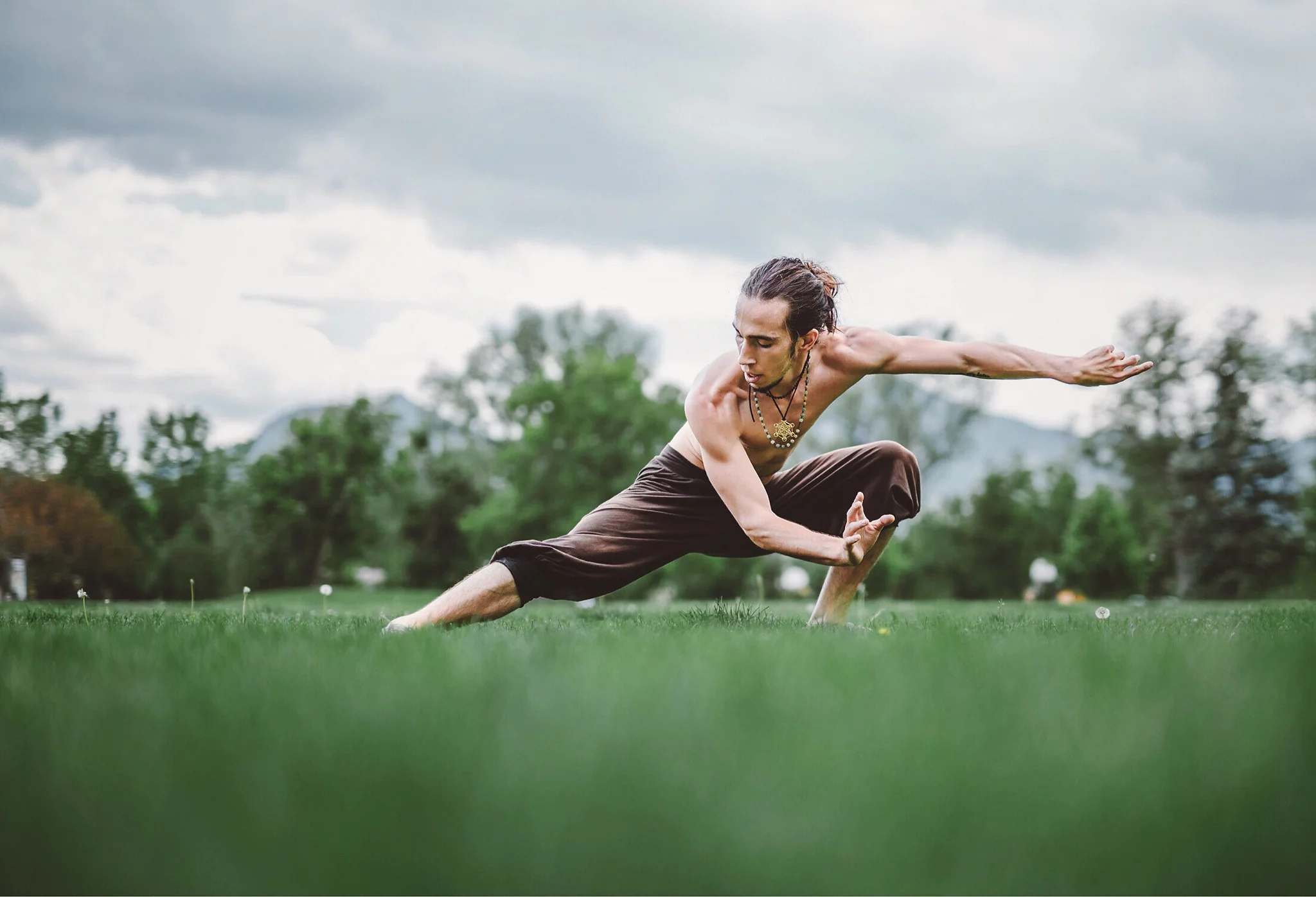 Kung Fu Training | Southern Styles: Hung Gar & Shaolin for Strength ...