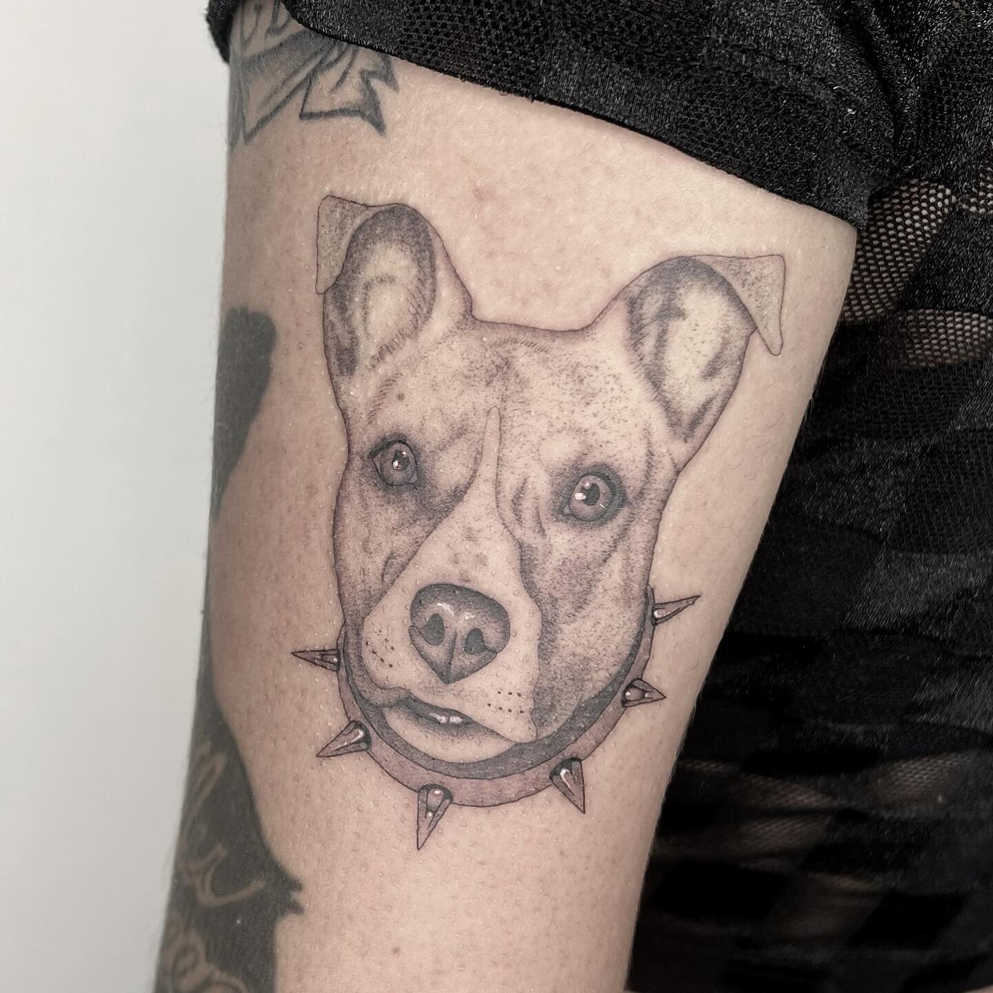 MURPHY MCCORMICK — 805 INK