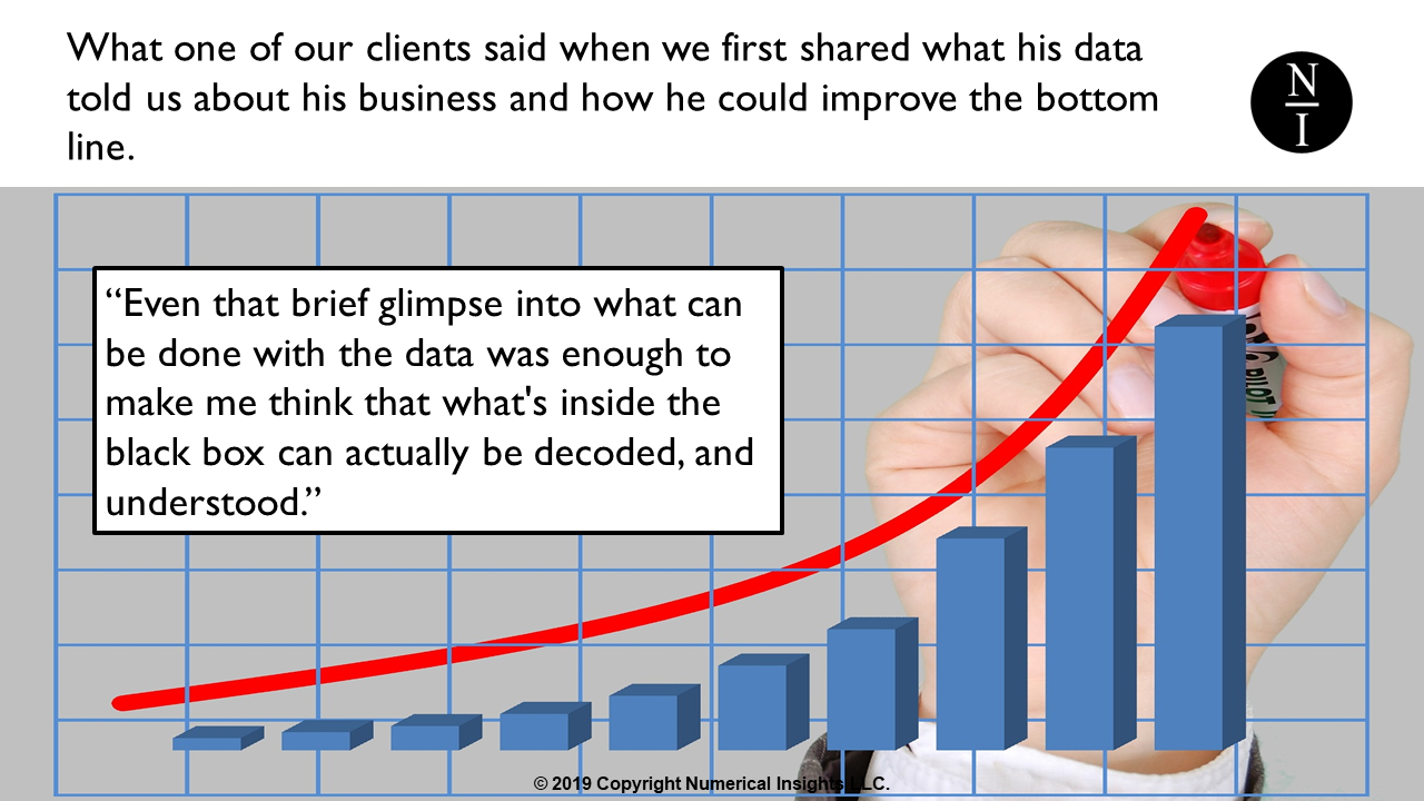 Numerical Insights LLC - Turn Data into Business Insights