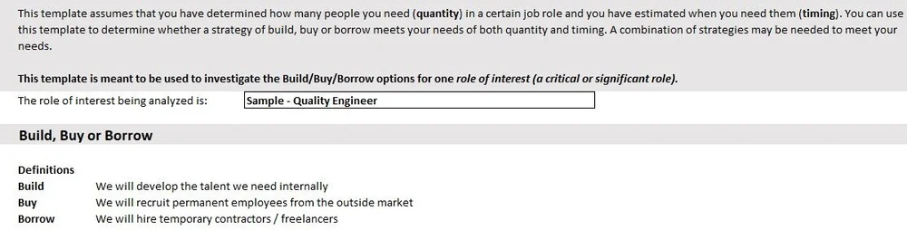 Downloadable Template: Build, Buy or Borrow (Workforce Talent Decisions)
