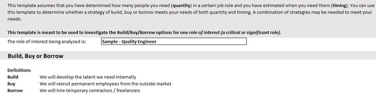 Downloadable Template: Build, Buy or Borrow (Workforce Talent Decisions)