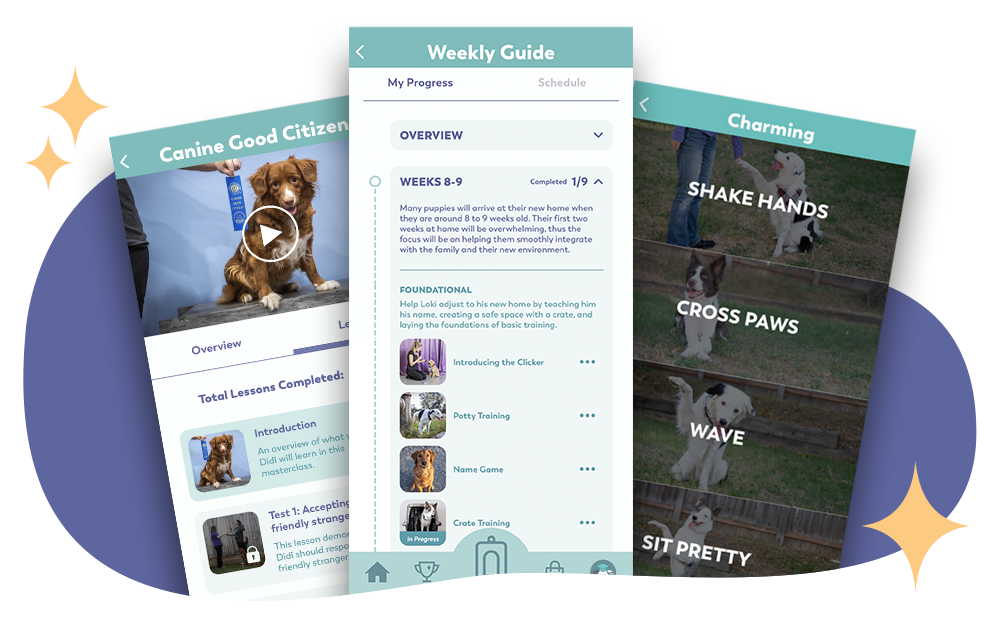 Puppr - Dog Training App