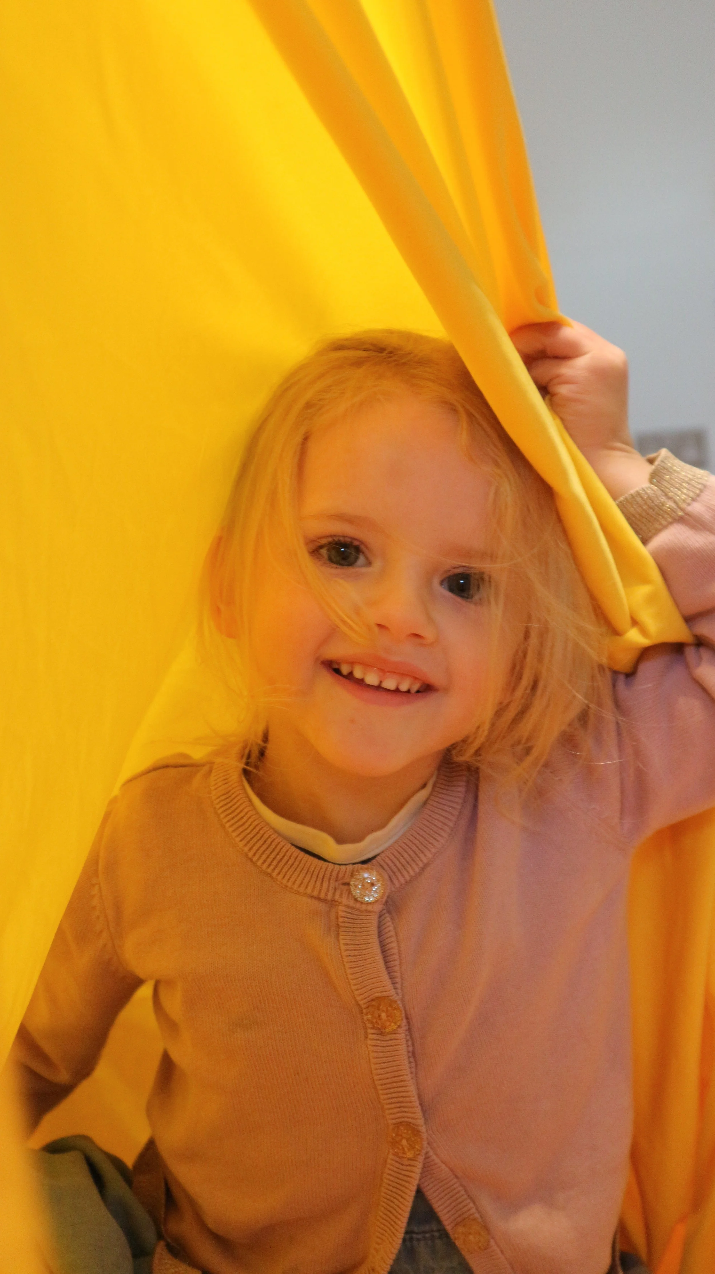 can-you-see-the-colours-of-autumn-a-4-step-pictorial-sensory-dance