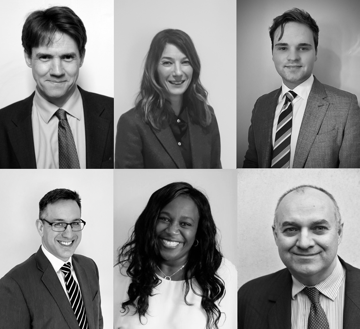 WILD SEARCH — Executive Search