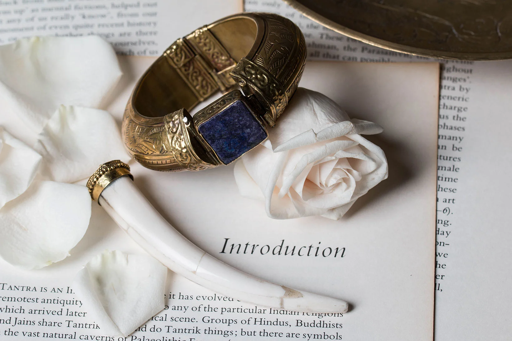 Studio — Sarah Bisnette