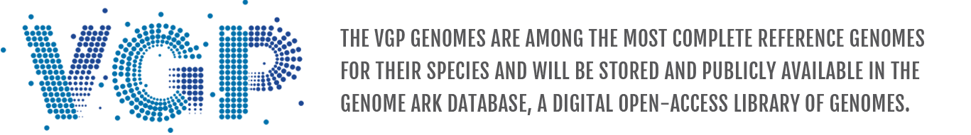 Vertebrate Genomes Project